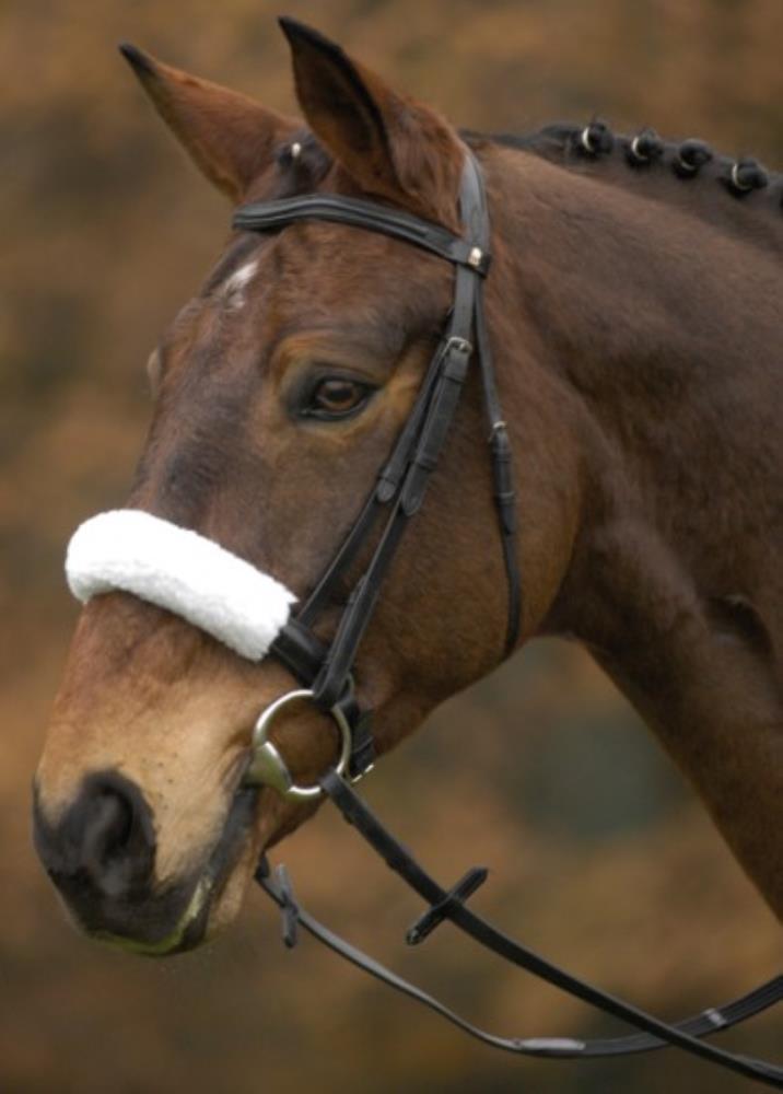 FOURREAU DE MUSEROLLE 28CM - HARRY'S HORSE | Terres & Eaux