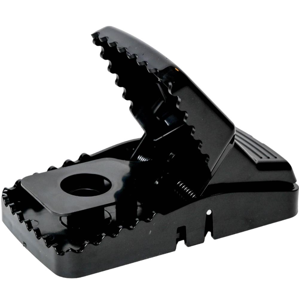 TAPETTE A RAT EN PLASTIQUE - TERZEO VOS ANIMAUX | Terres & Eaux