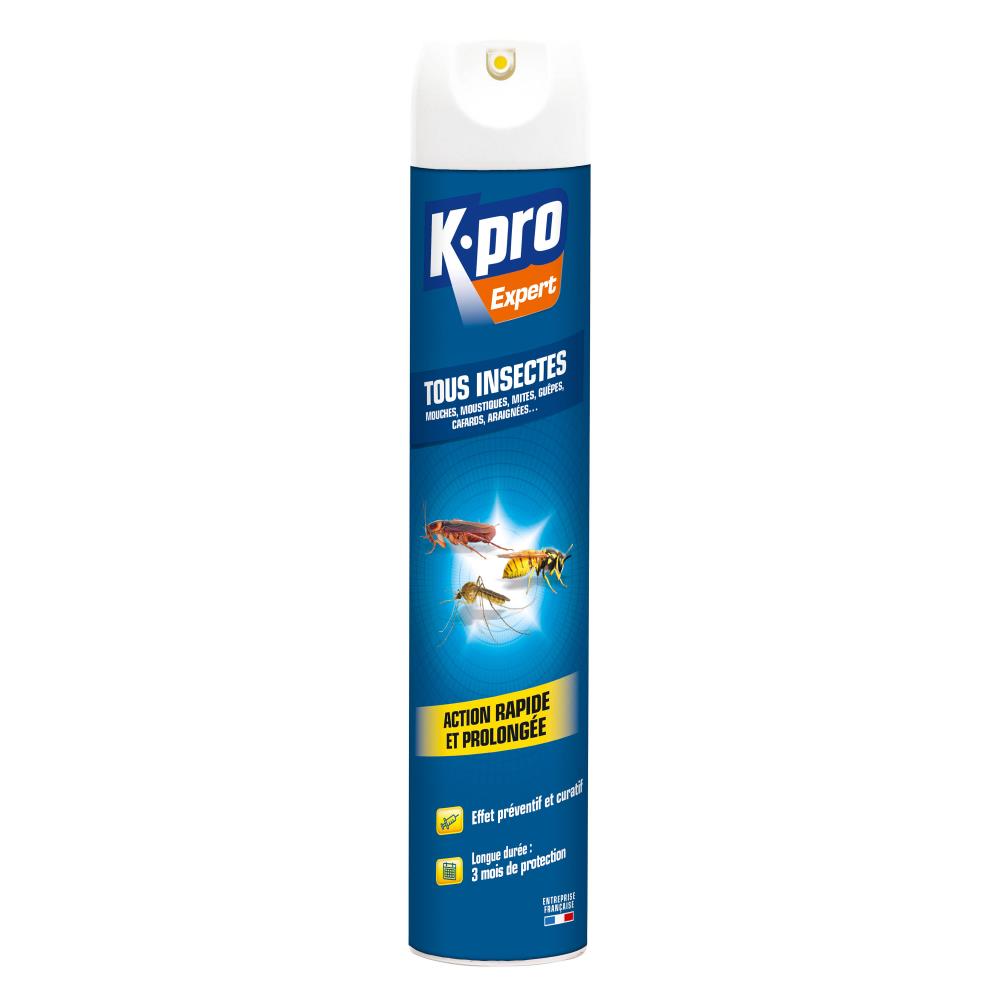 AÉROSOL INSECTICIDE INSECTES 500ML - K PRO EXPERT | Terres & Eaux